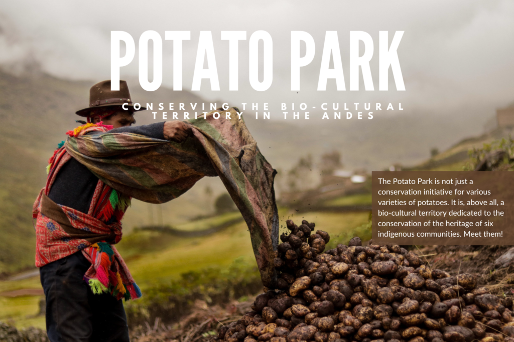 Potato Park – Bua’ Bua’ë Travel